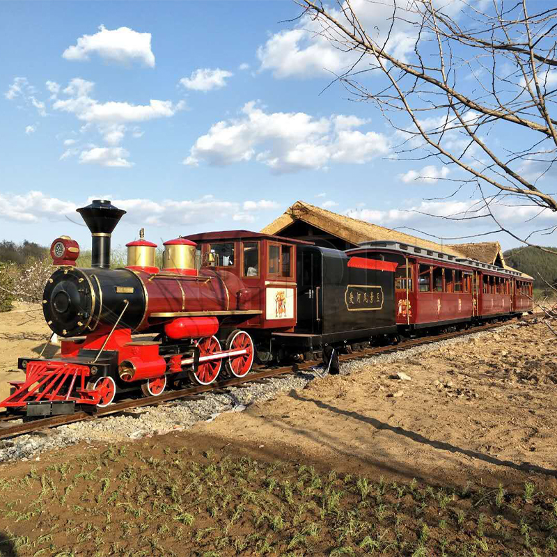 Large Track Sightseeing Train - Amusement equipment supplier