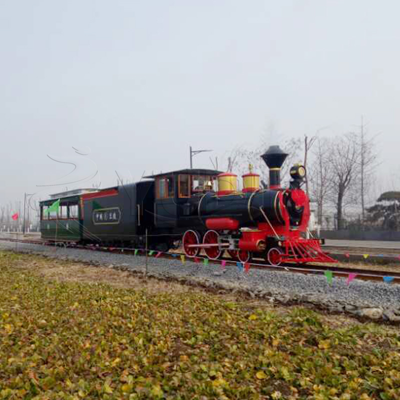 Large Track Sightseeing Train - Amusement equipment supplier