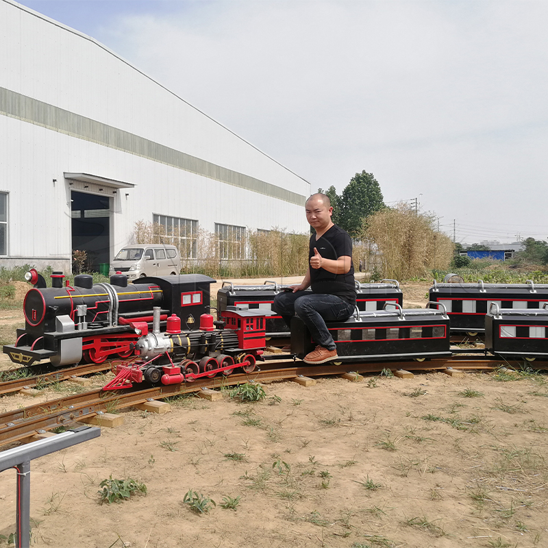 Mini Simulated Steam Track Train - Amusement equipment supplier