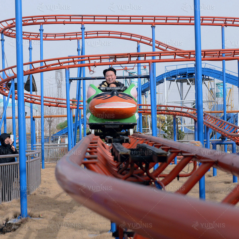 Crazy Mouse Roller Coaster - Amusement equipment supplier